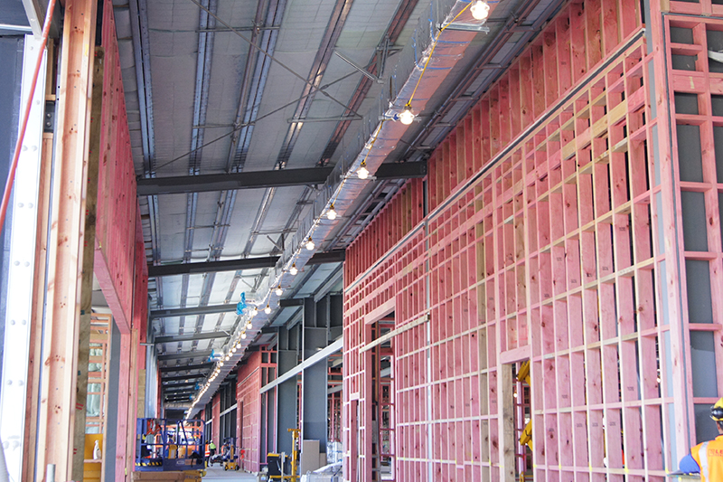 Hire - Gallery > Jackson Industries